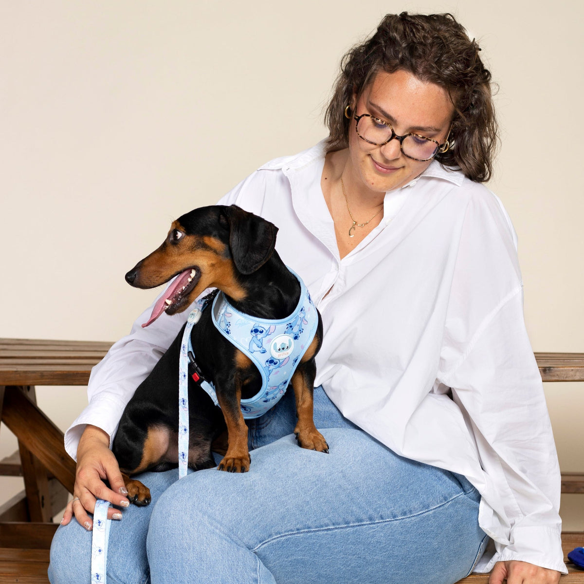 Pack Arnés y Correa - Stitch – Starpets.es
