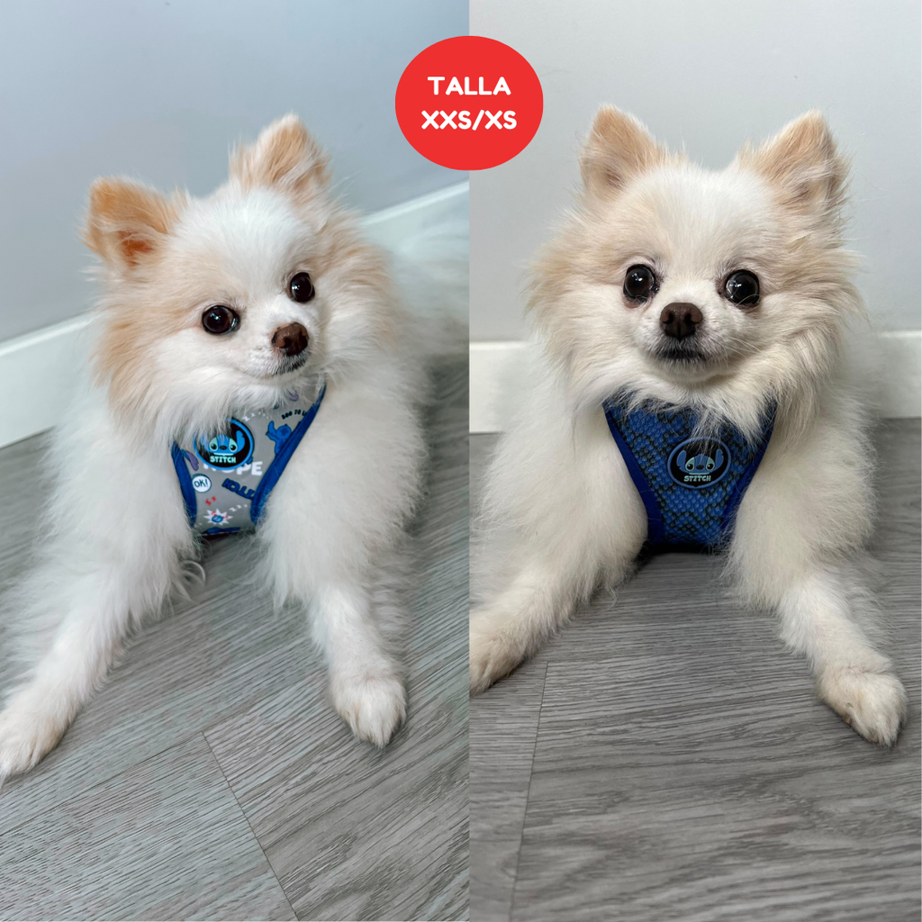 Pack Arnés Reversible y Correa - Stitch – Starpets.es
